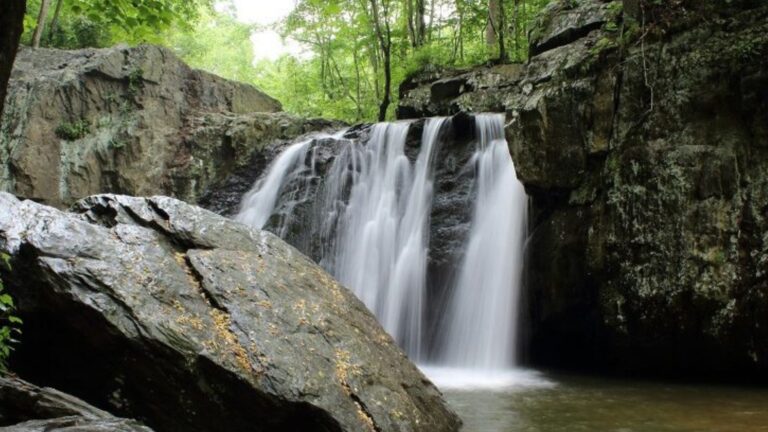 Visakhapatnam Araku Valley- Places to See & Things to Do - Luxotic ...