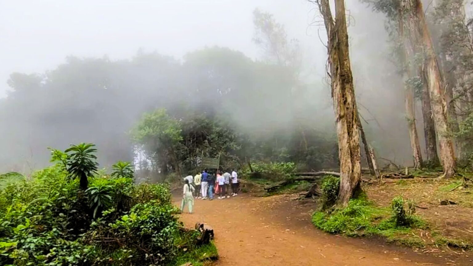 The Ultimate Guide to Guna Caves: History, Photos and Reviews - Luxotic ...